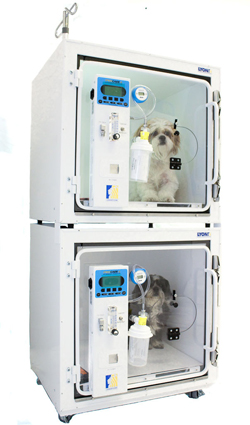 ProCare Animal Critical Care Units for the Veterinary Professional